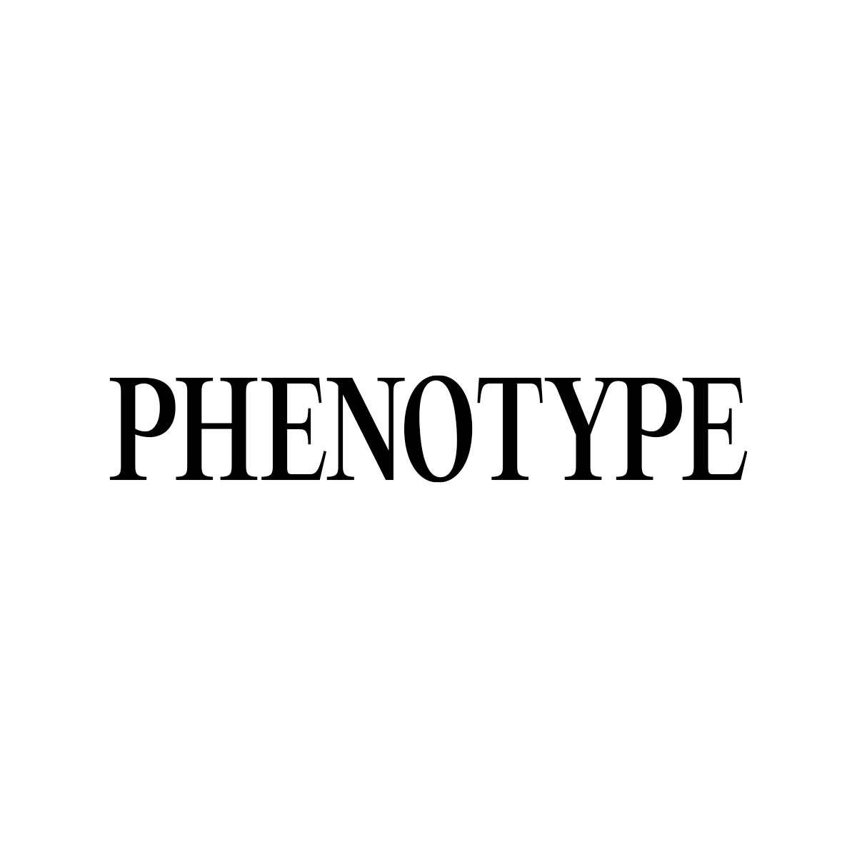 Phenotype | Minimalism, Aesthetics, Visual Art – Phenotype.pl